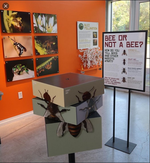 Discovery Center - Honey Bee Research and Discovery Center