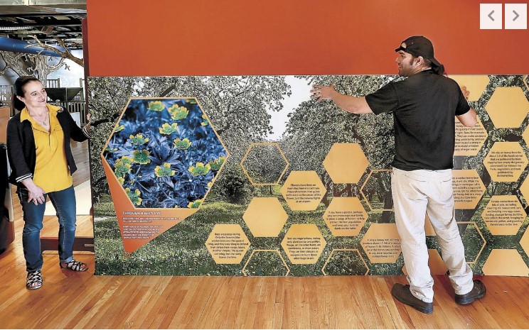 Discovery Center - Honey Bee Research and Discovery Center